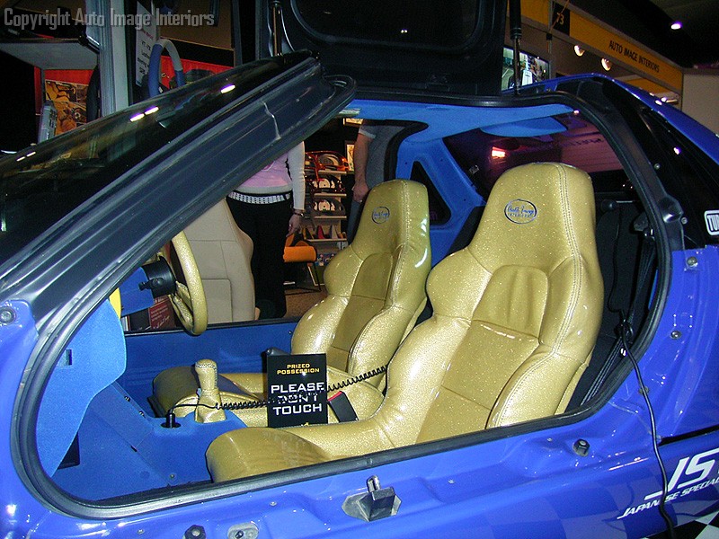 Custom Modified Gallery | Auto Image Interiors